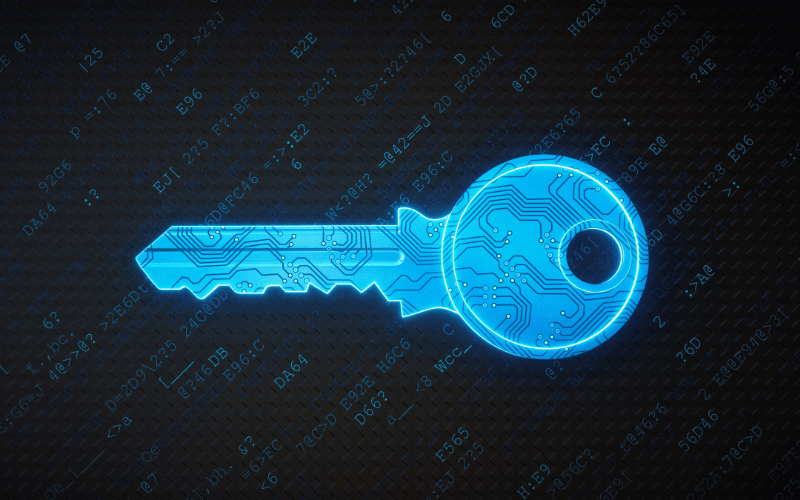 What is Public Key Cryptography? - Portnox
