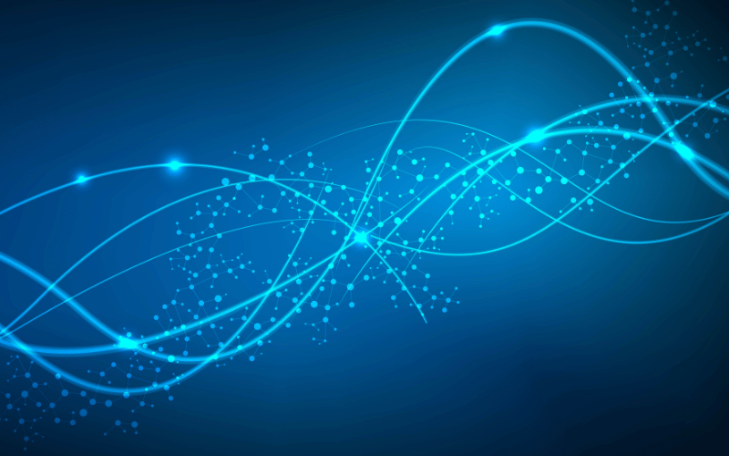 What Is The Dhcp Protocol Portnox