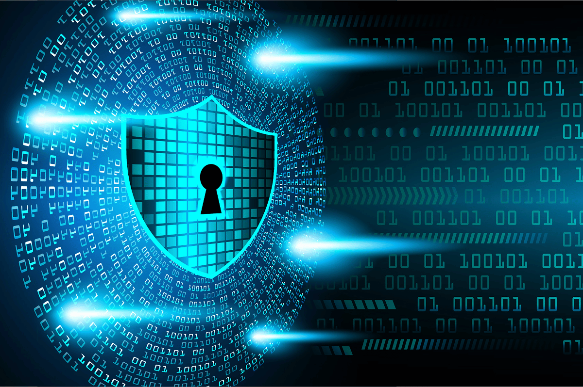 What Is Network Access Control (NAC) in Cybersecurity? | Portnox