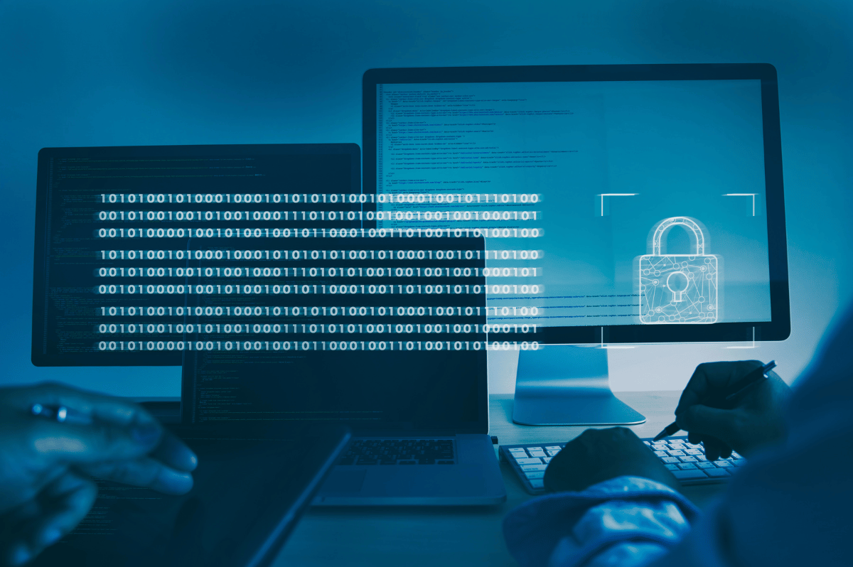 Crafting an Effective Vulnerability Management Strategy: A Guide for ...