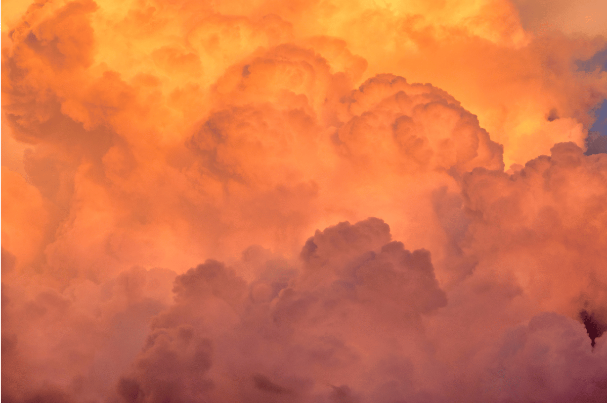 Comparing Cloudpath by Ruckus to Portnox Cloud - Portnox